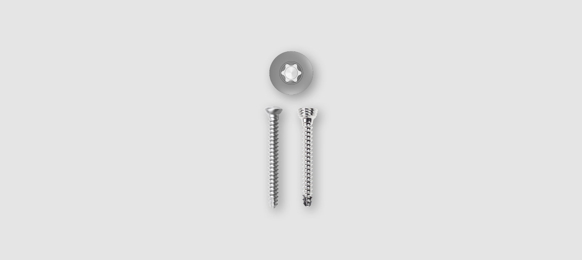 TPLO Screws, Stainless Steel – veterinary.shop LP